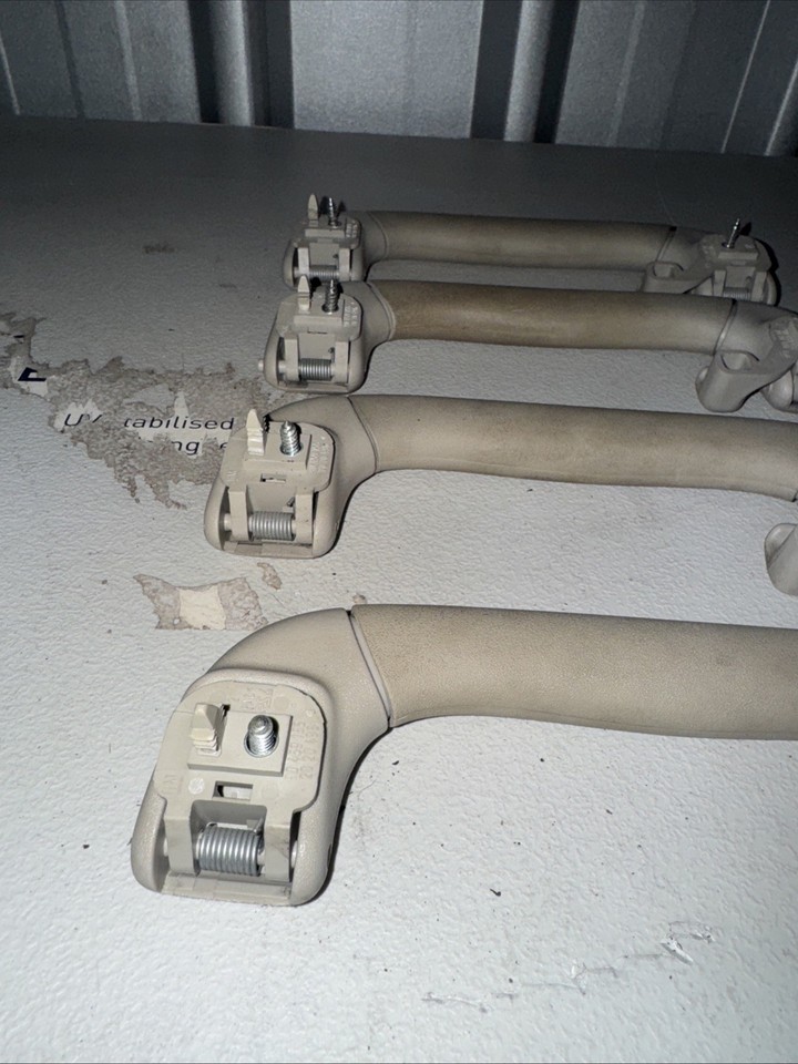 Holden Front or Rear Interior Grab Handle Set Commodore VZ VY VX VU VT ...