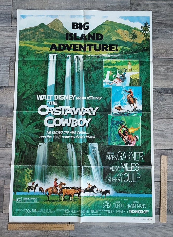 THE CASTAWAY COWBOY - © 1974 - MOVIE POSTER - 27 X 41 - listing #8333 ...