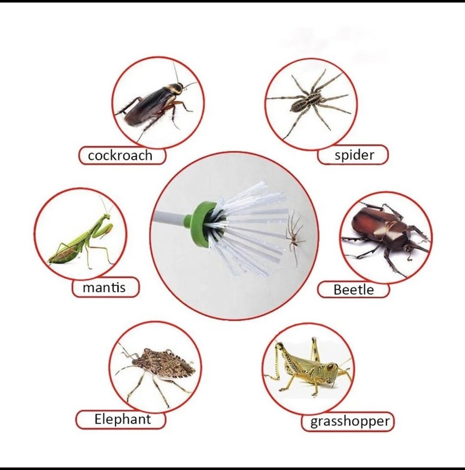 Eco-Friendly Critter Catcher | Spider & Insect Grabber Tool | Harm-Free ...