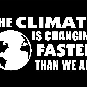 WildSide Decals | eBay Stores