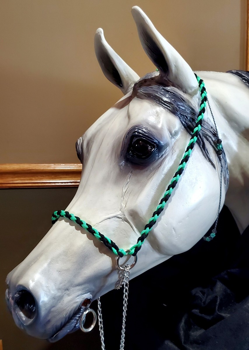 Arabian Stallion Halter