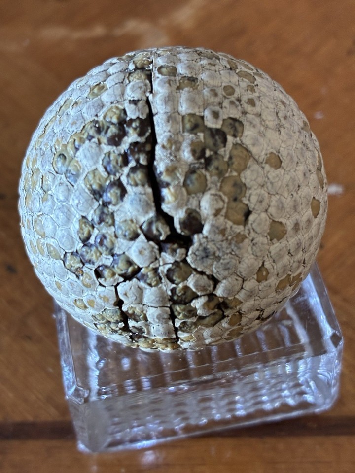 Early 1900s Antique Gutty Golf Ball Bramble Nice Poles Heavy colonel St ...