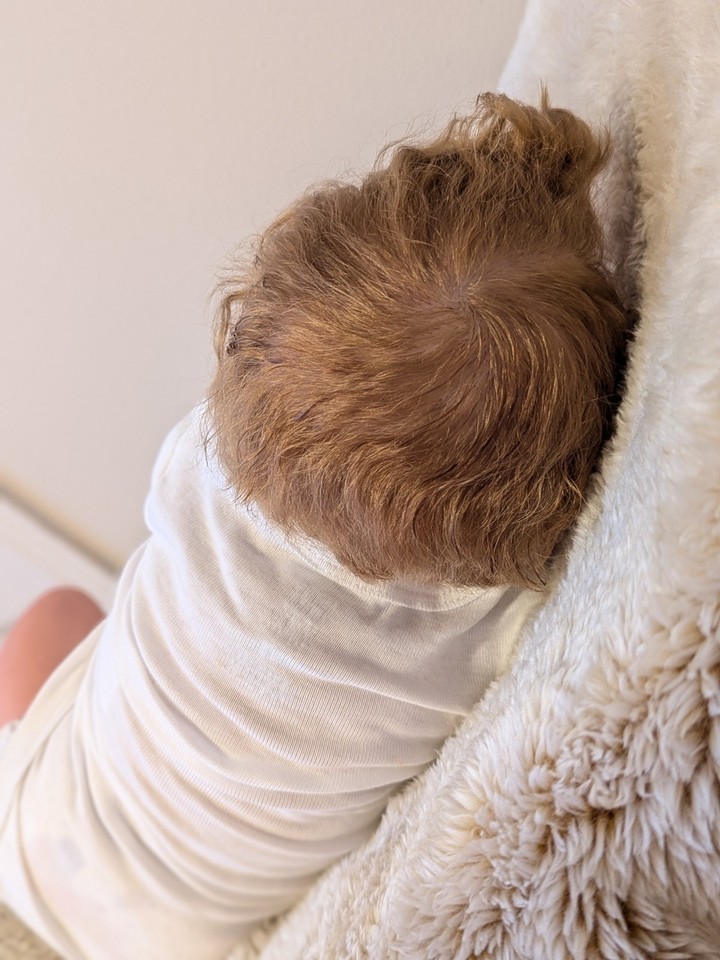 WILLIAMS NURSERY Realborn Ruby Awake Newborn Baby BOY Rooted Reborn ...