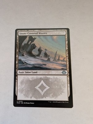 Snow-Covered Wastes (0229) Modern Horizons 3 Regular MTG NM | eBay
