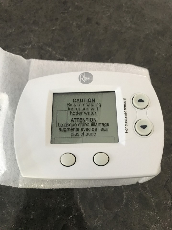 Rheem AP14697A Tankless Water Heater Remote Control Display Panel | eBay