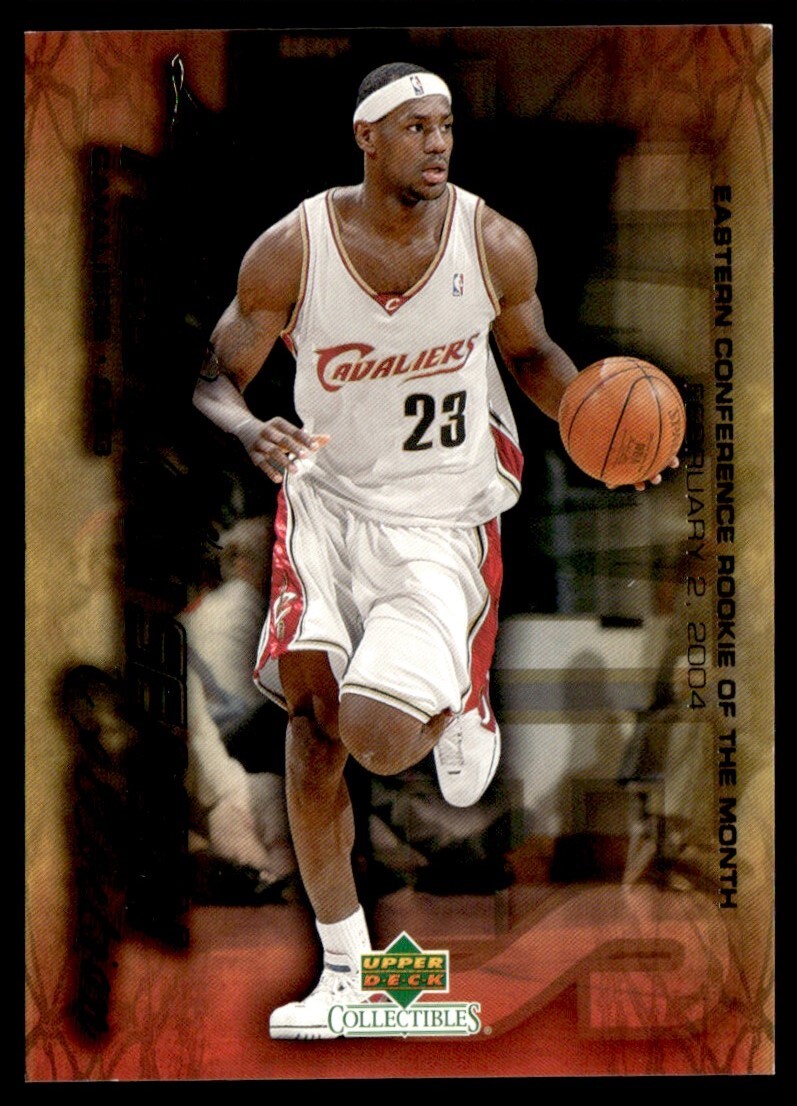 Lebron James Haarlijn 2004