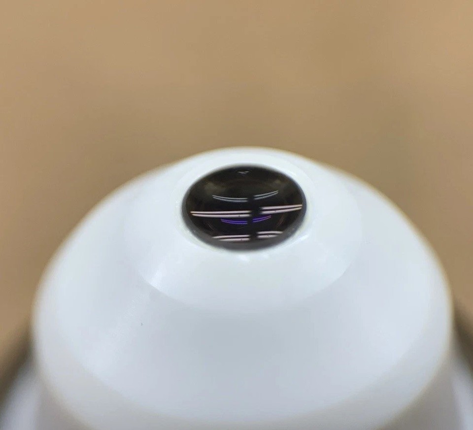 Olympus Microscope Objective LUMPlanFL / IR 60x W Water Immersion RMS ...