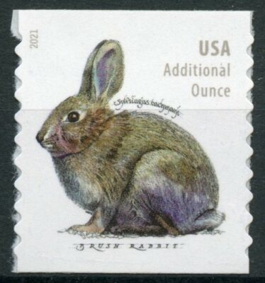 USA 2021 MNH Wild & Domestic Animals Stamps Rabbits Brush Rabbit 1v S/A ...