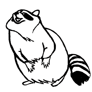 The Savvy Raccoon | eBay Stores