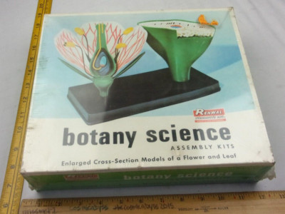 Renwal Botany Science Flower & Leaf plastic Model kit SEALED 1960s ...