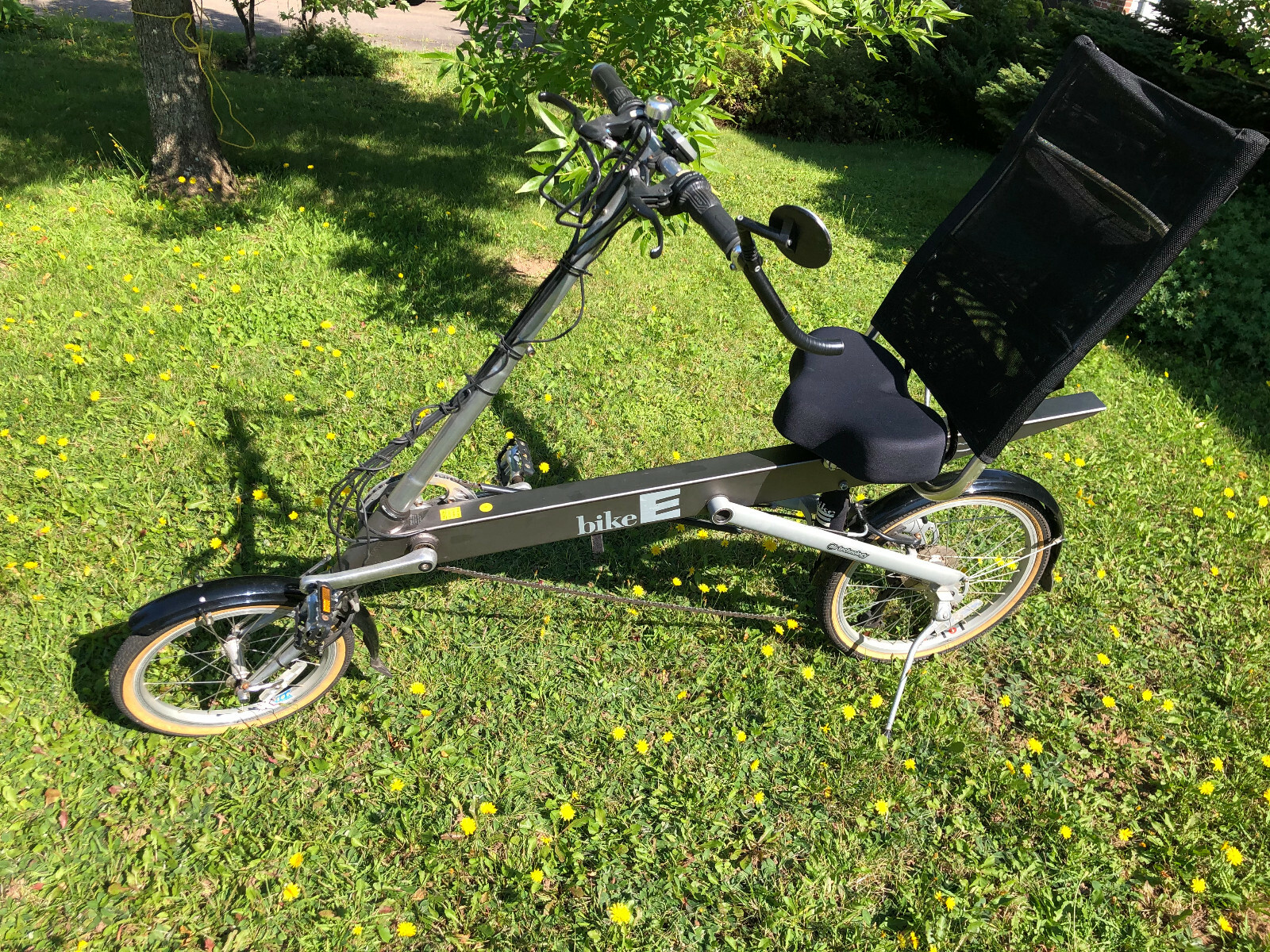 BikeE RECUMBENT BICYCLE BIKE COMPUTER | eBay