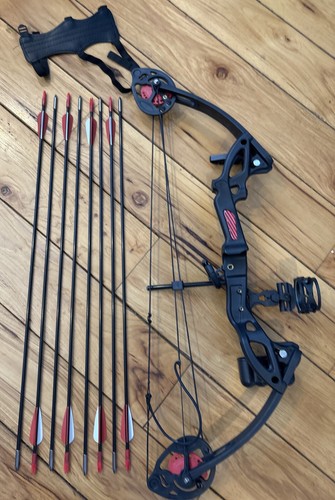DUKE VI PANDARUS Compound Bow Archery Set Right Hand Draw | eBay