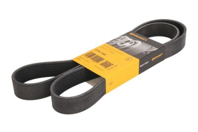 Fits CONTITECH 8 PK 1390 V-Ribbed Belt DE stock | eBay UK