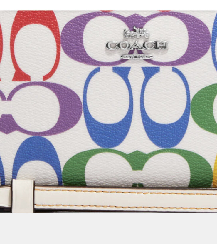 Coach Pride Continental Long Zip Around Wallet In Rainbow Signature ...