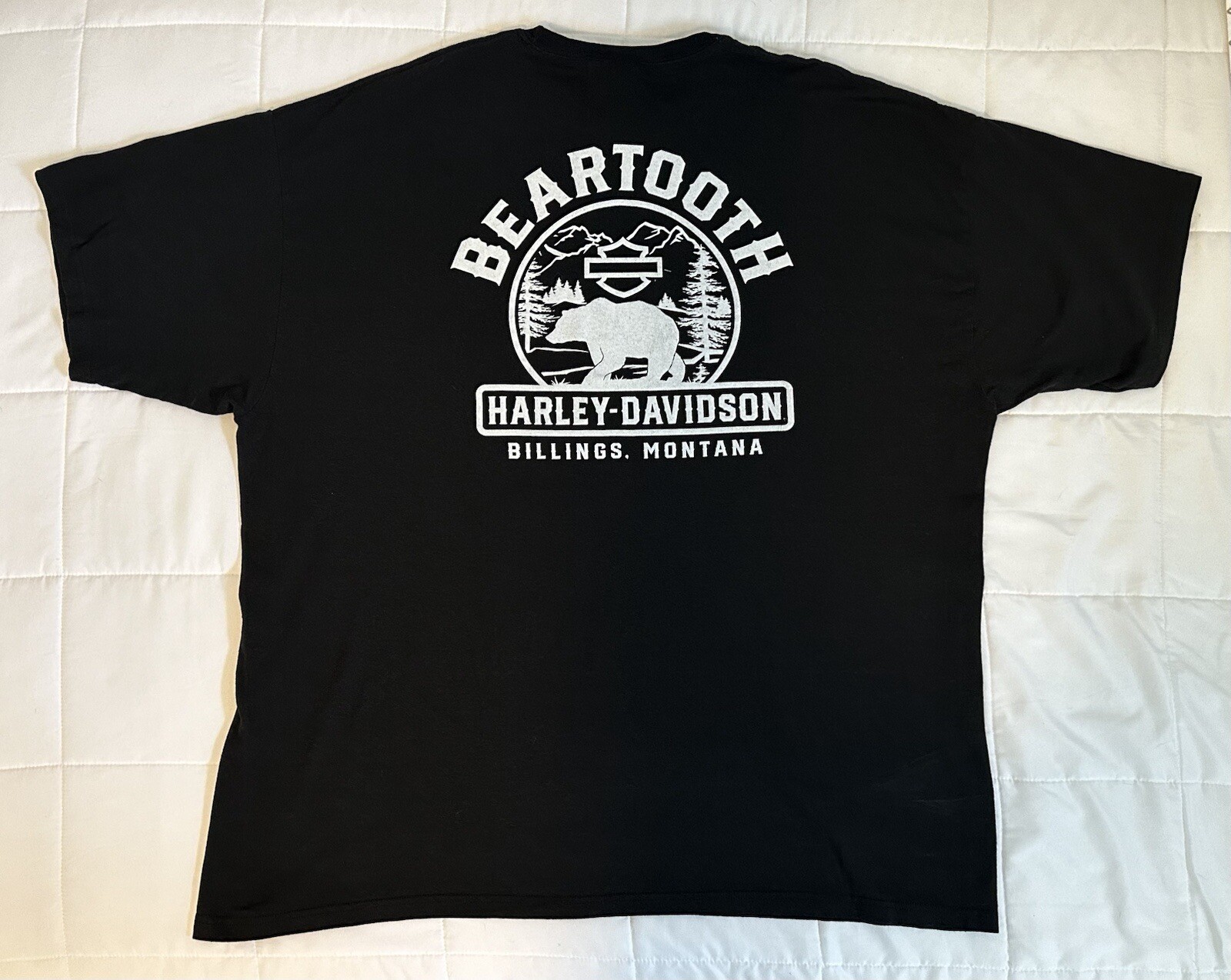 Men's 2023 Beartooth Harley Davidson Billings Montana… - Gem