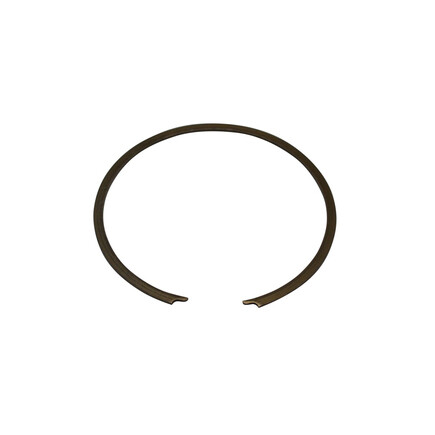 Usa Standard Gear ZTNP4338910 Transfer Case Planetary Gear Snap Ring ...