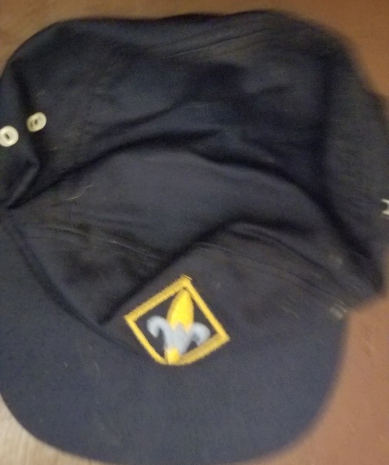 2 Vintage Cub Scout Caps Webelos and Wolfhat Snapback Hat - Med/ large ...