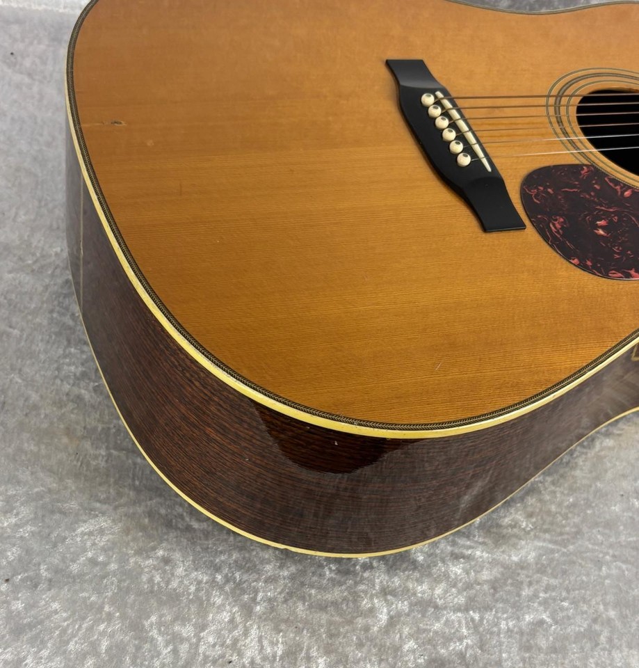 Samick SF 35HS acoustic guitar with case | eBay