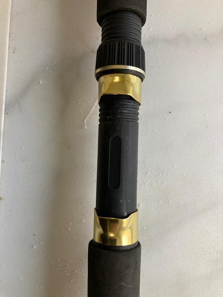 Master Spectra Graphite Composite 8 FT Model 3200 2 pc spinning rod | eBay