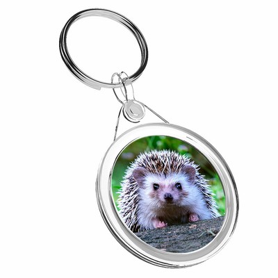 1 x Cheeky Hedgehog Garden Animal - Keyring IR02 Dad Kids Birthday Gift ...