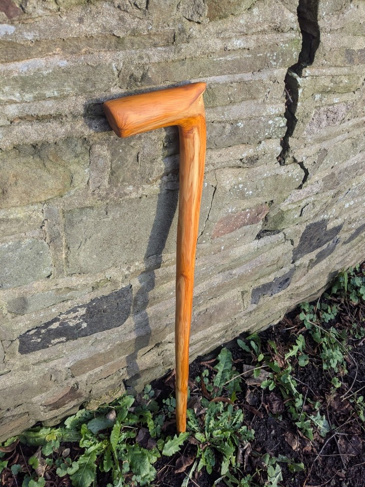 Beautiful Yew Shillelagh Wood Walking Stick Classic Handle Unique ...