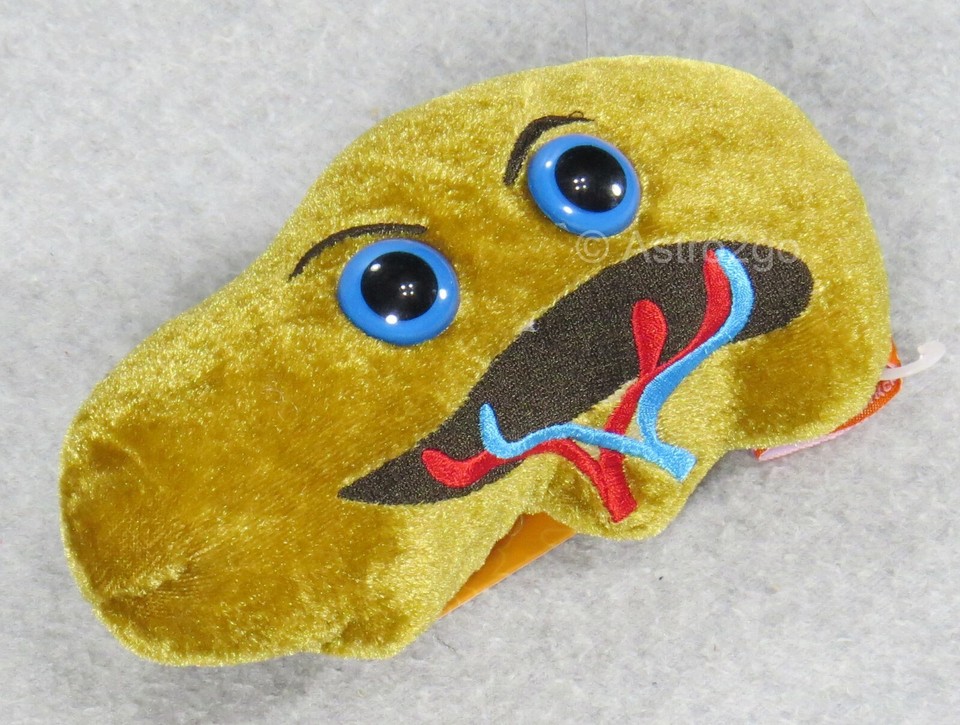 GIANT MICROBES-SPLEEN-Stuffed Plush Organ Lymph Immune System Biology ...