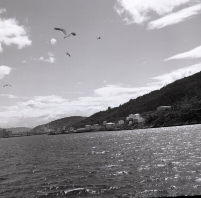 a16 Original Negative 1970 norway Mobil Oslo Storage Tanks 495a | eBay