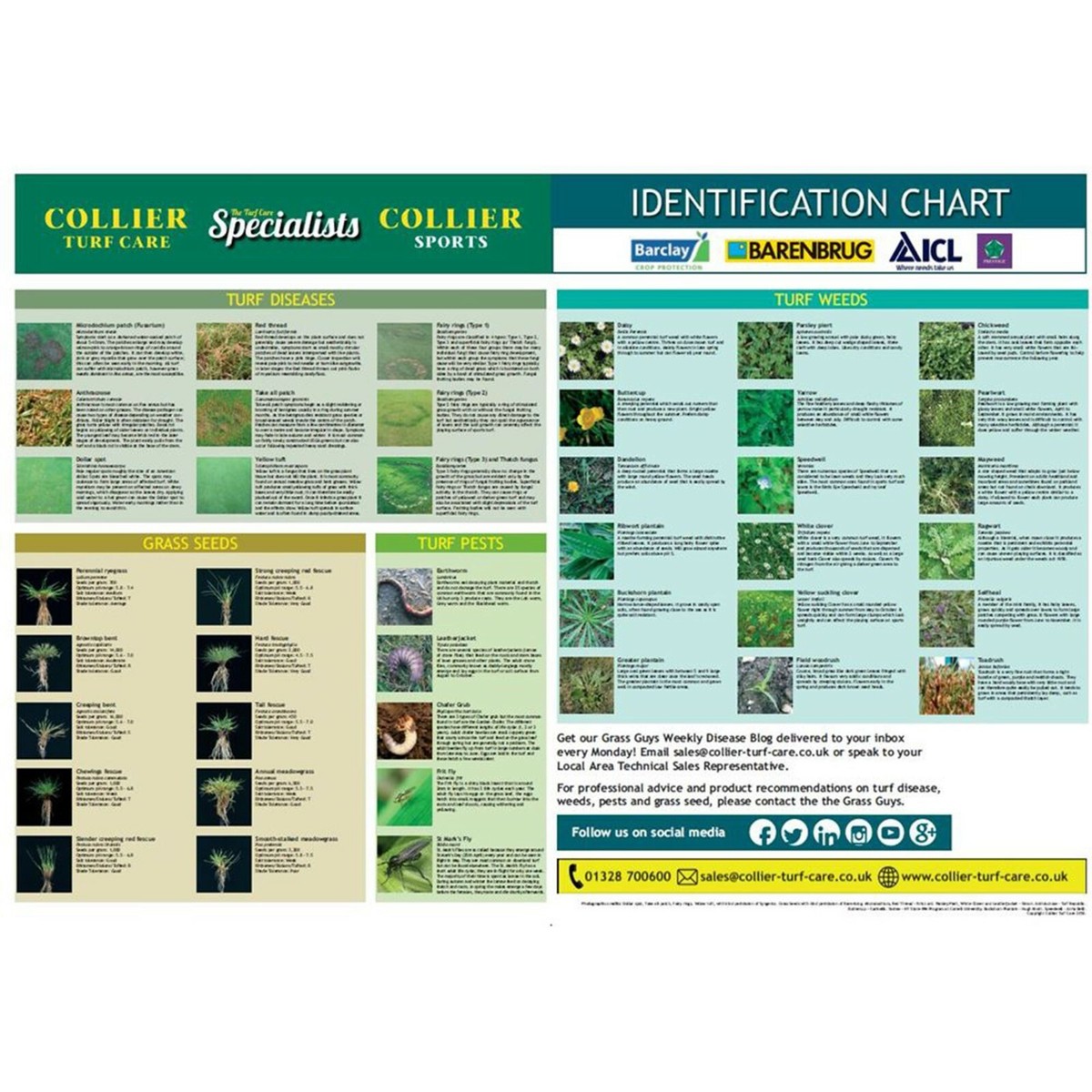 Weedy Grass Identification Chart Latest News Cooperative Extension