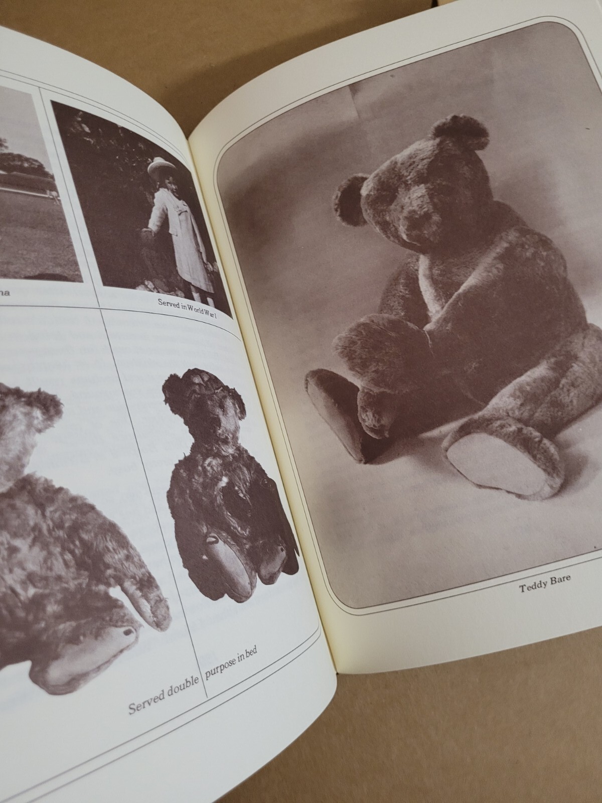 The Teddy Bear Book - House of Nisbet Limited Signed #09096 Slipcase ...