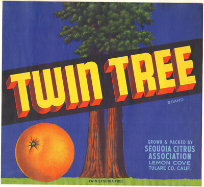 *Original* TWIN TREE Sequoia Lemon Cove TULARE Orange Crate Label NOT A ...