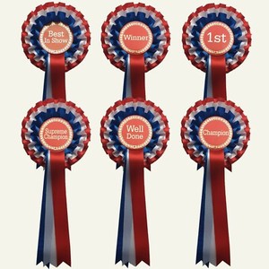 Rosettes 3 Tier Best In Show-Well Done-Winner-Champion-1st-Supreme ...
