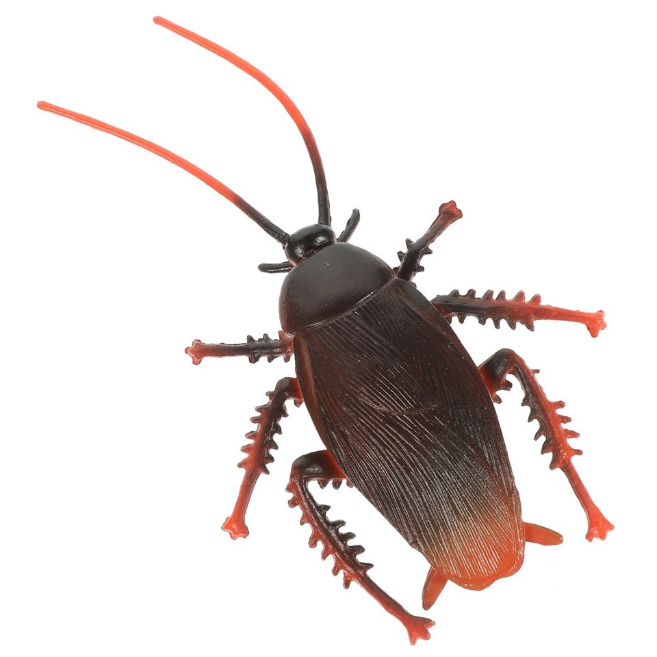 Realistic Fake Cockroach Plastic Bug Halloween Prank Toy Party ...