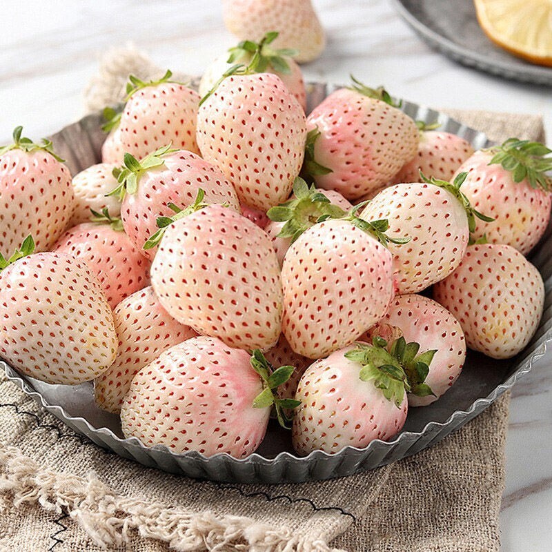 Pineberry