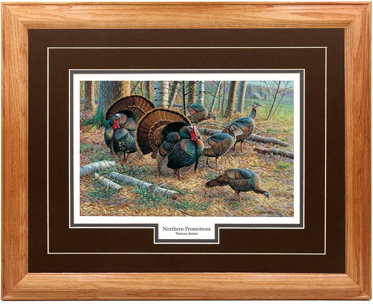 Turkey Bird Borders