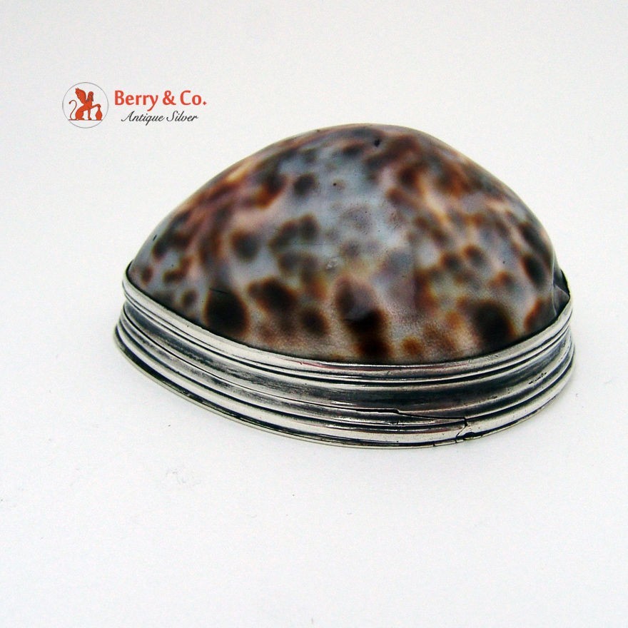 Irish Snuff Box Cowrie Shell John Egan 1800 Sterling Silver Mono PHR | eBay
