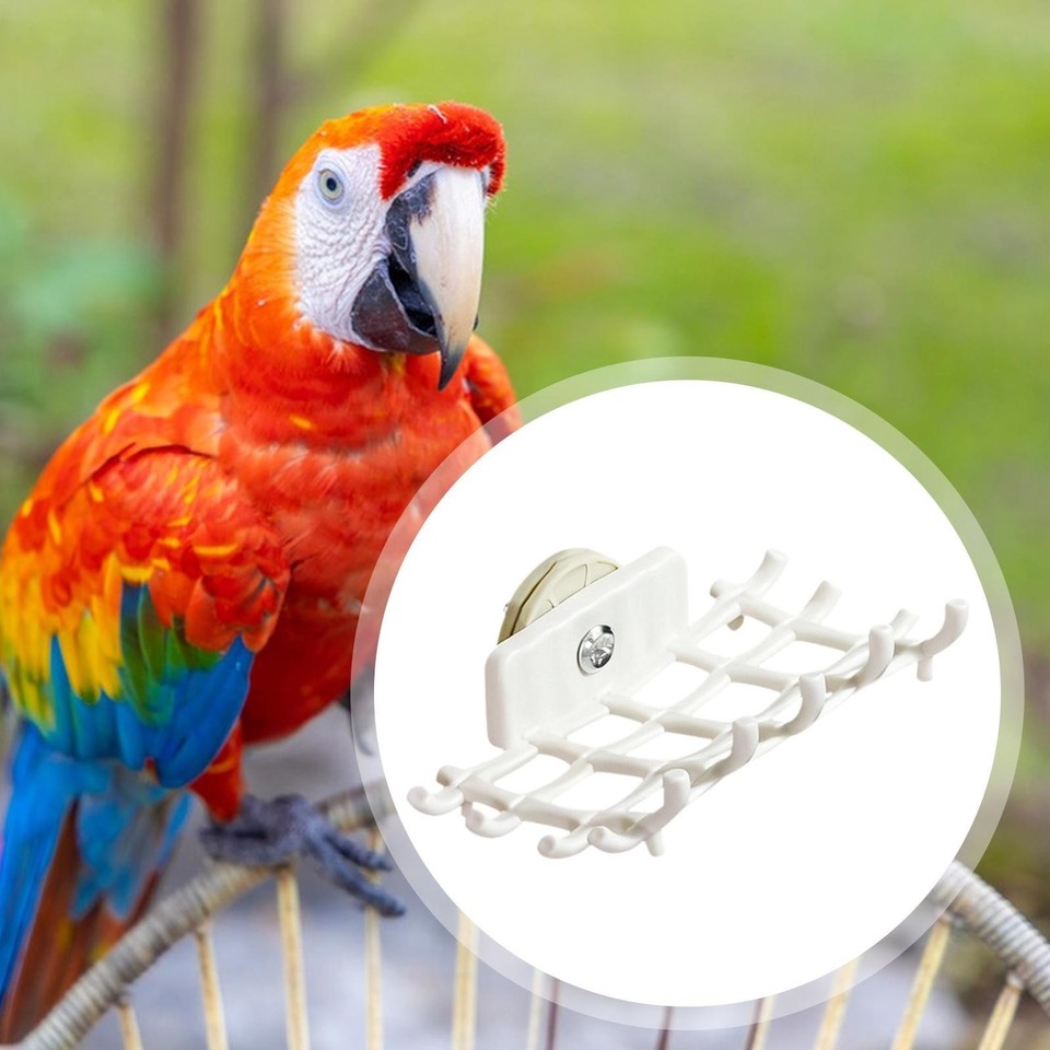 Parrot Perch Grid Design Bird Perch Platform for Lovebird Parakeet ...