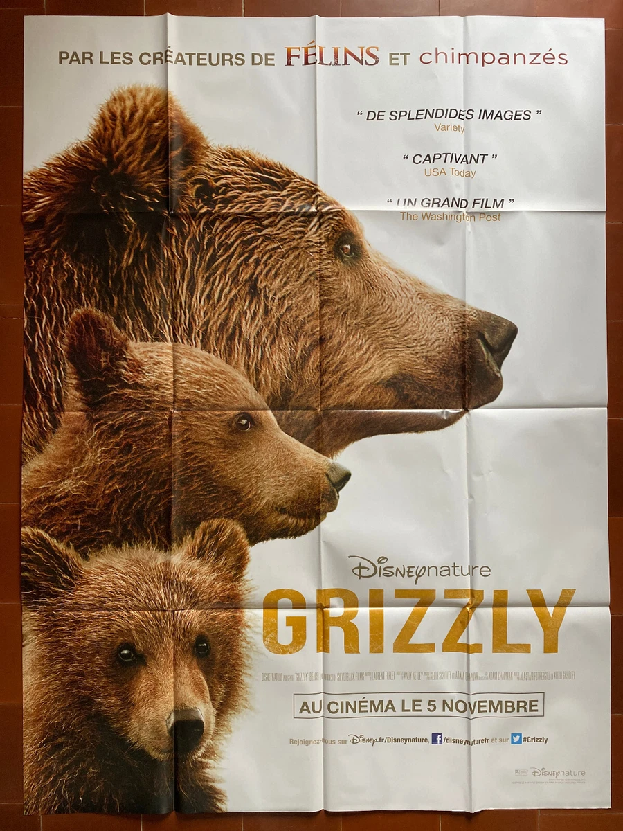 Disney Bears Poster