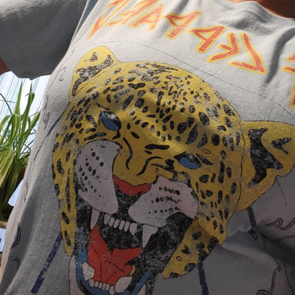 Light Blue Def Leppard Big Cat Mens T Shirt High N Dry Fun | eBay
