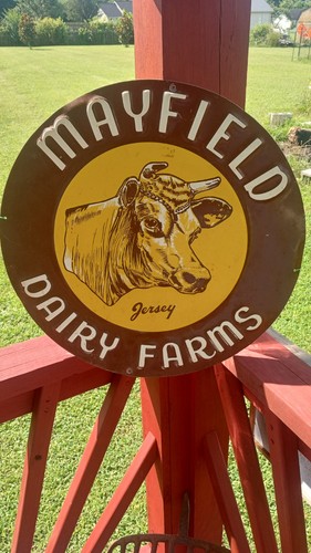 VINTAGE MAYFIELD DAIRY FARMS "JERSEY" EMBOSSED METAL FARM SIGN L@@K ...