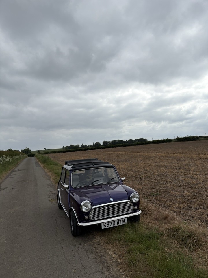 Classic Mini | eBay UK