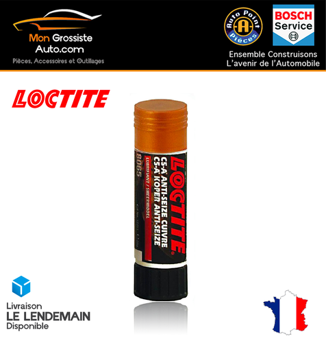 LOCTITE 8065 C5-A Anti-Seize Protection Grippage Usure 20g Gamme PRO ...