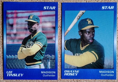 1989 Madison Muskies (Star) Platinum Team Set ~Lee Tinsley~Hosey 100 ...