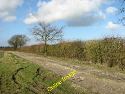 Photo 6x4 Field boundary hedge Ilketshall St Andrew c2014 | eBay UK