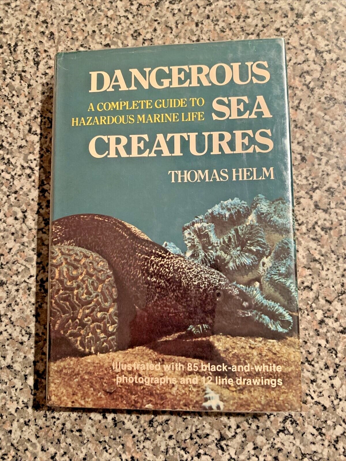 1976 Antique Animal Reference Book "Dangerous Sea Creatures" | eBay