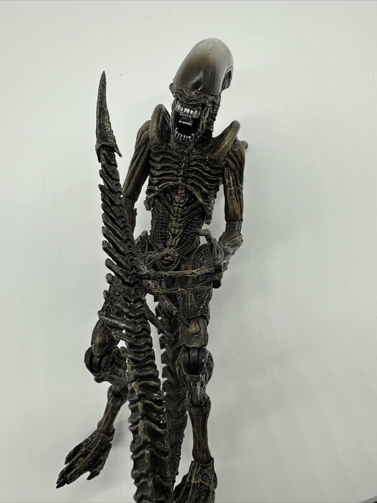 Xenomorph Types Xenomorph Xenomorph Types Alien