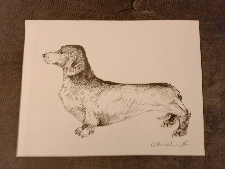 Hand Drawn Black Ink Drawing Sketch of a Dachshund Sausage Dog | eBay UK