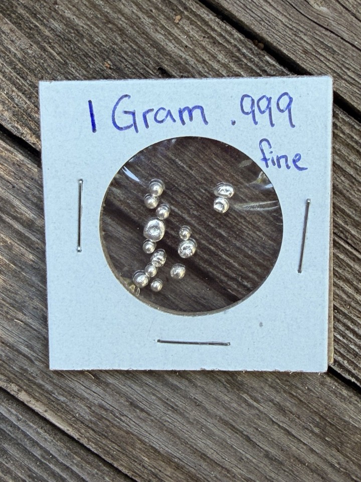 1 GRAM OF .9999 FINE SILVER SHOT | eBay