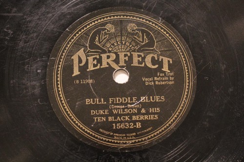 JAZZ DICK ROBERTSON Bull Fiddle Blues/HARLANLATTIMORE GotTheSouth ...
