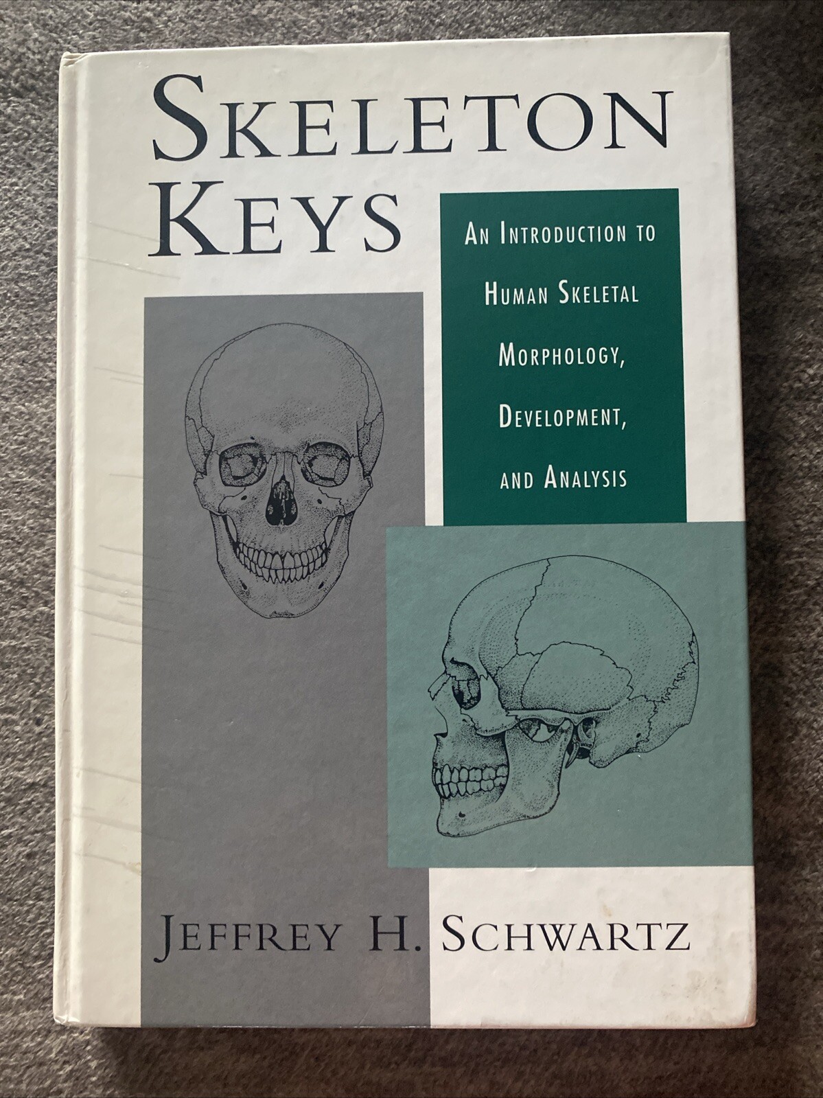 Skeleton Keys Jeffrey Schwartz Human skeletal anatomy HC BOOK 1995 Oxford Press | eBay
