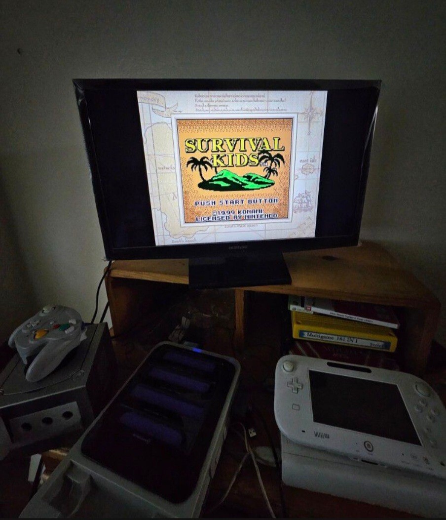 Survival Kids (Nintendo Game Boy Color, 1999) for sale online | eBay